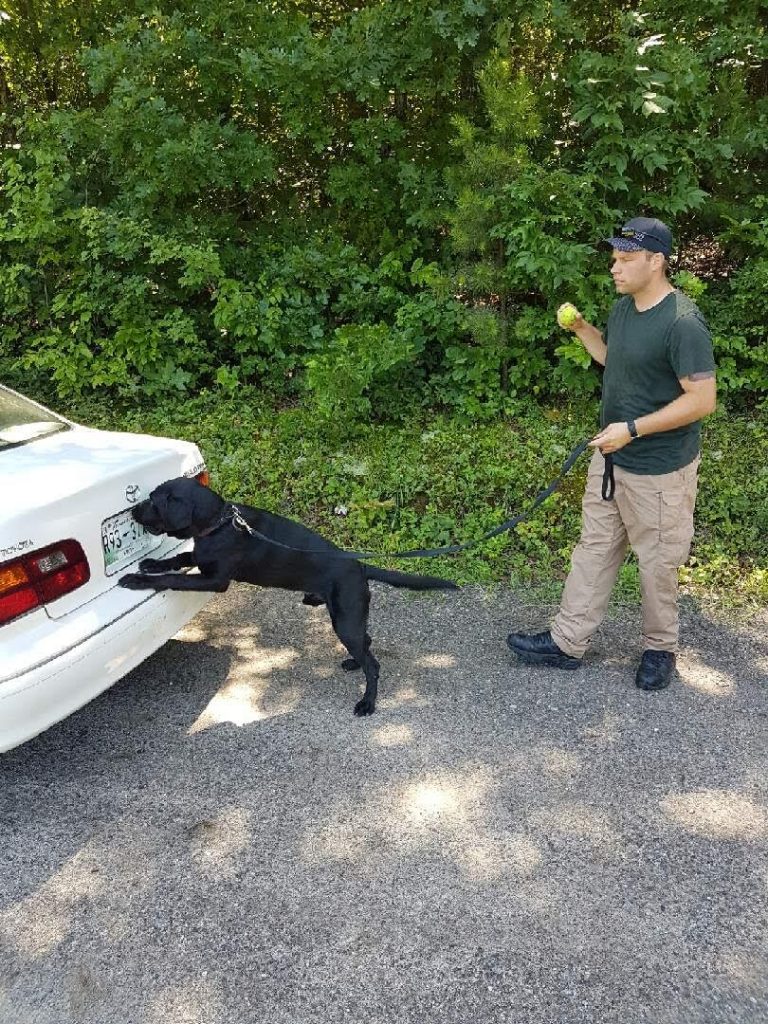 K9’s – Grand Isle County Sheriff's Dept